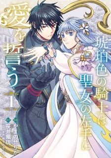 琥珀色の騎士は聖女の左手に愛を誓う1[KADOKAWA] - DLチャンネル みんなで作る二次元情報サイト！